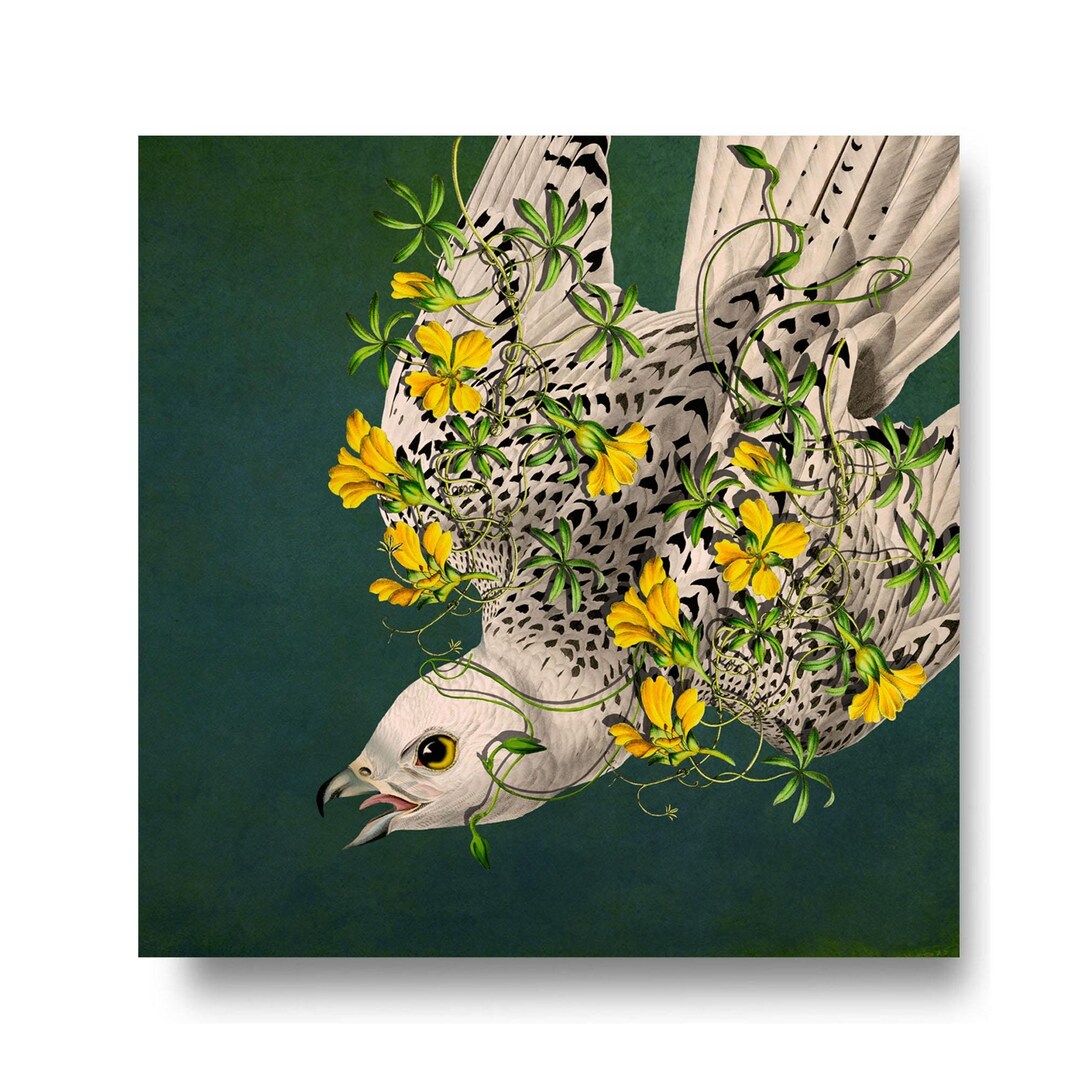 Tangled Falcon Flower Floral Portrait Print Art Surreal Home Decor ...