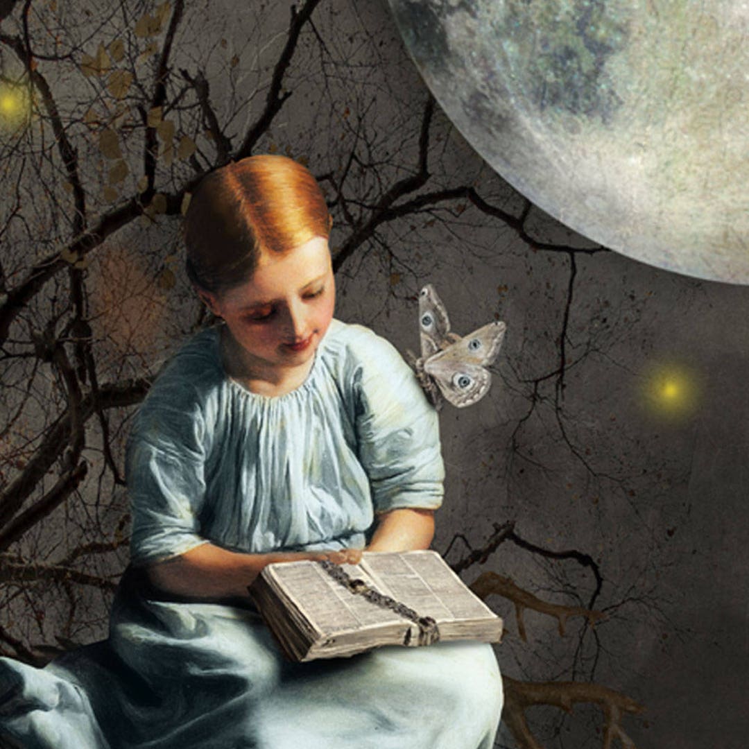 Reading by Moonlight Print Art Moon Moth Book Night Sky Blue Grey ...