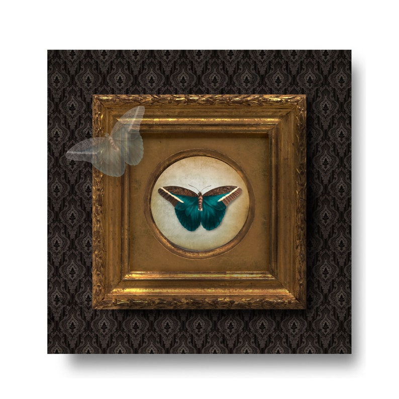 Butterfly Ghost Moth Haunted House Print Digital Art Surreal - Etsy