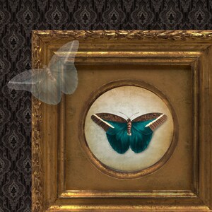 Butterfly Ghost Moth Haunted House Print Art Surreal Home Decor ...