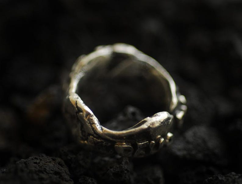 Deus Pascit Corvus Ring, Latin Quote Jewelry, Raven, Faith Jewelry ...