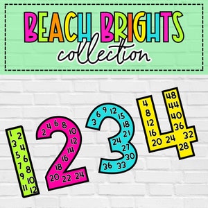 Skip Counting Numbers Tropical Bright Vibrant Classroom Decor ...