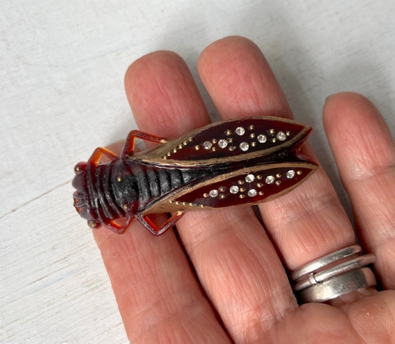 Rare Vintage 1960s Lucky French Plastic Cicada Pin Ro… - Gem