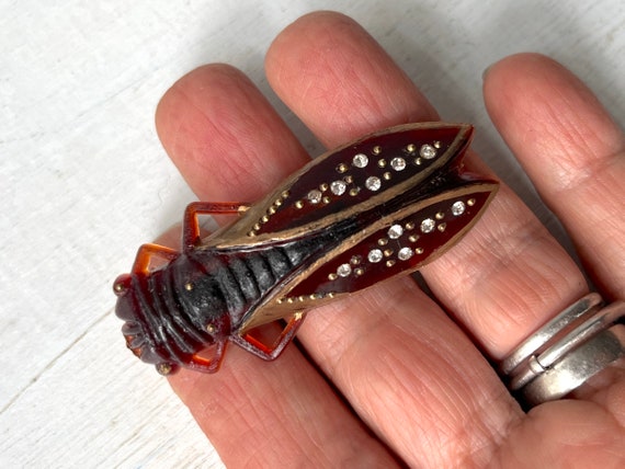 Rare Vintage 1960s Lucky French Plastic Cicada Pin Ro… - Gem
