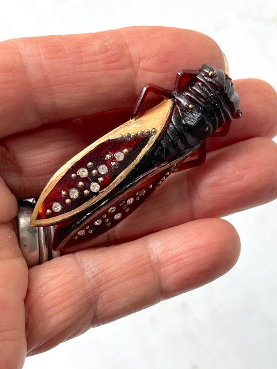 Rare Vintage 1960s Lucky French Plastic Cicada Pin Ro… - Gem