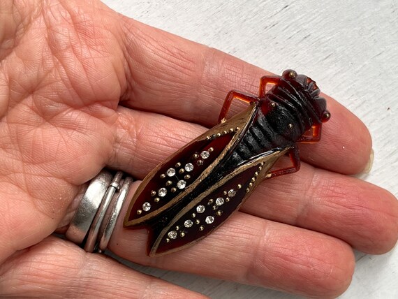 Rare Vintage 1960s Lucky French Plastic Cicada Pin Ro… - Gem