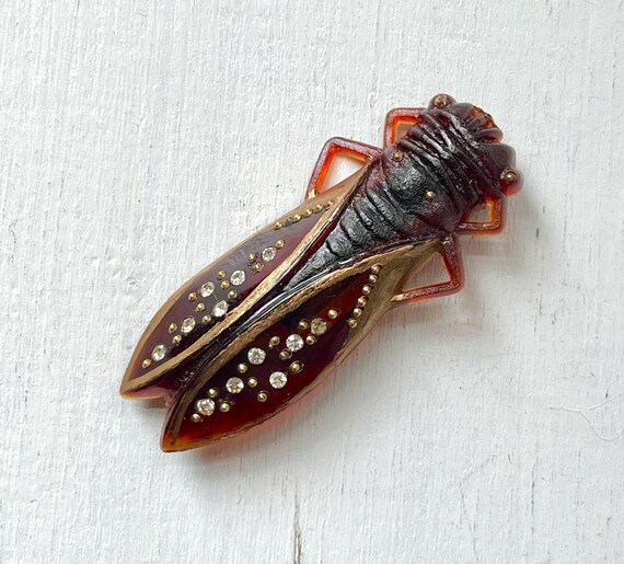 Rare Vintage 1960s Lucky French Plastic Cicada Pin Ro… - Gem