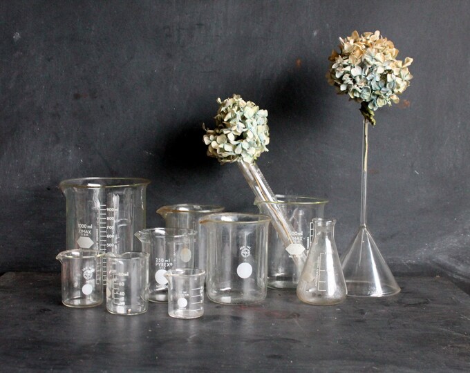 Collection of Science Beakers, Vintage Set of Eight Various Glass Cups ...