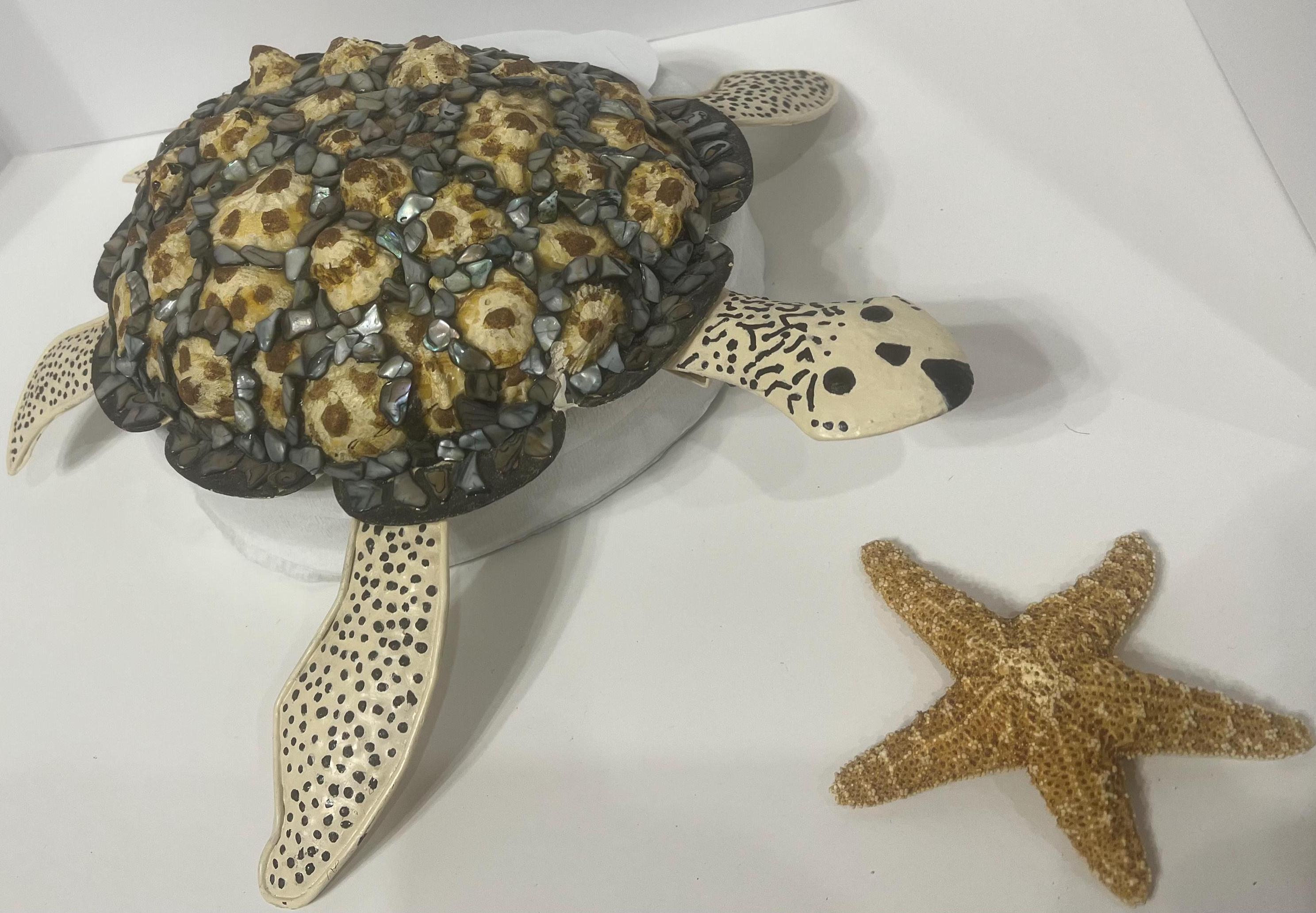 Limpet Turtle of the Ocean T-008 - Etsy
