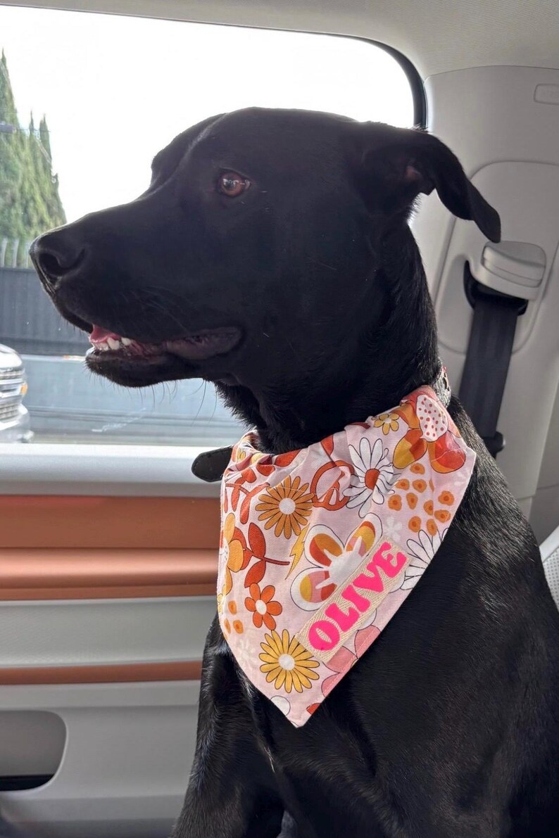 Dog Bandana, Retro Floral Dog Scarf, Personalized Over the Collar Pet ...