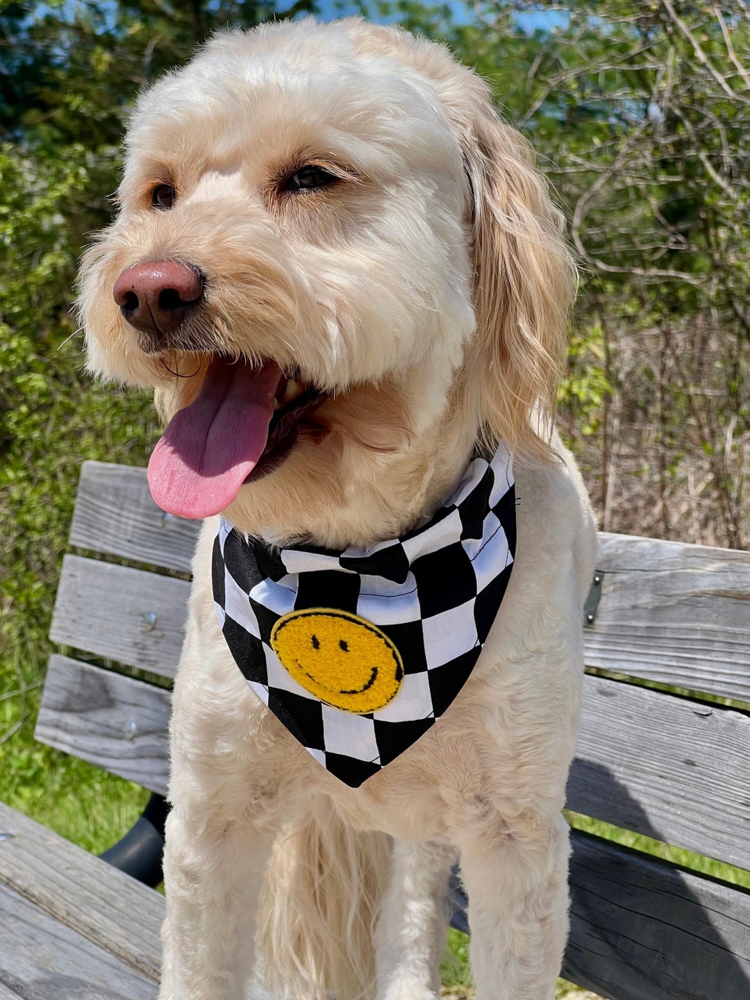 SMILEY Face-black/white Checkered Flag Fabric With Chenille Patch Dog ...