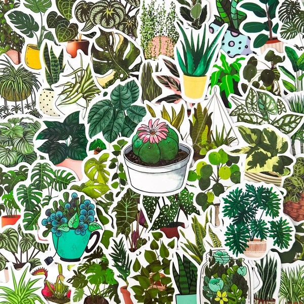 Plant Stickers - Etsy