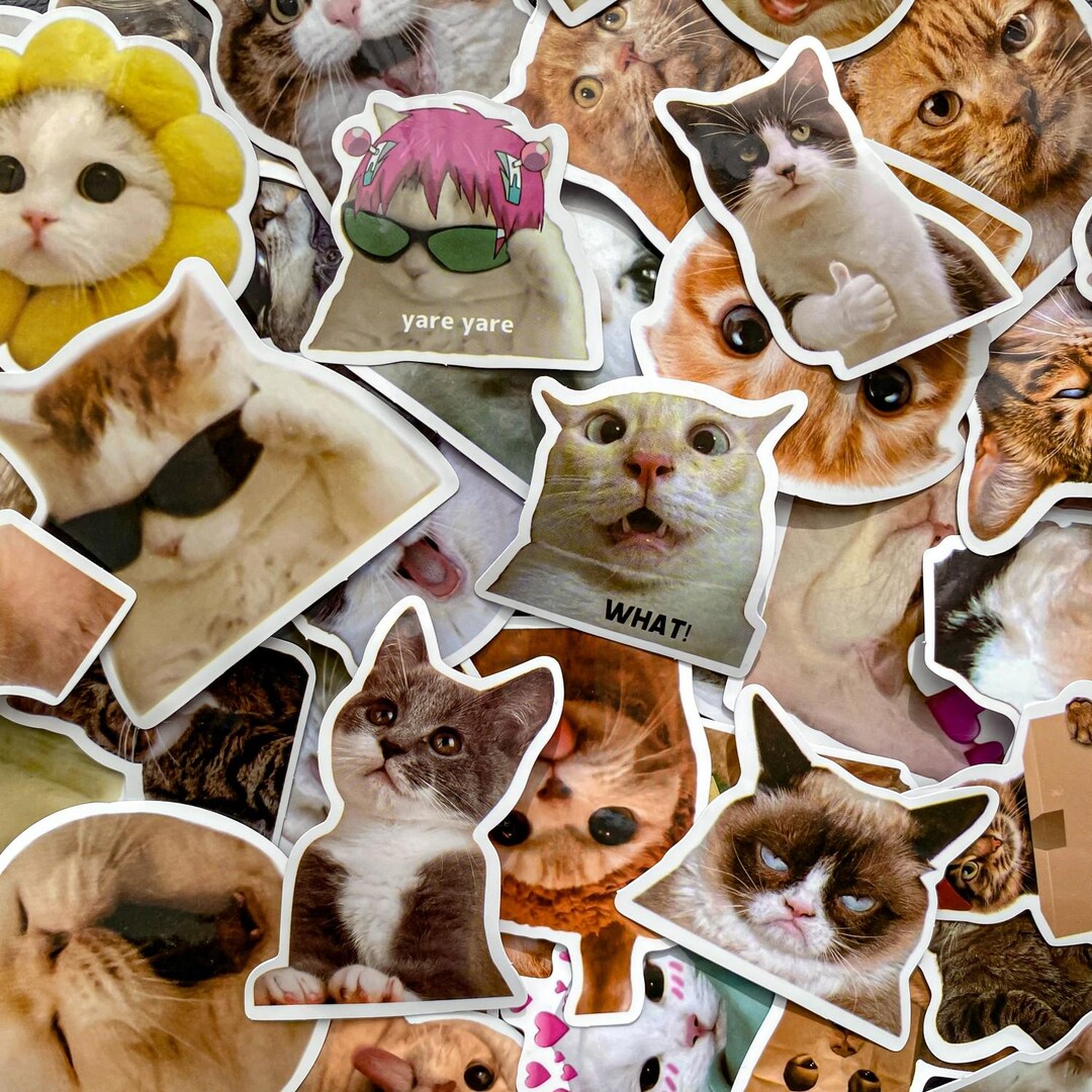 100 Random Cute Stickers, Cat Meme Stickers, Funny Vinyl Stickers ...