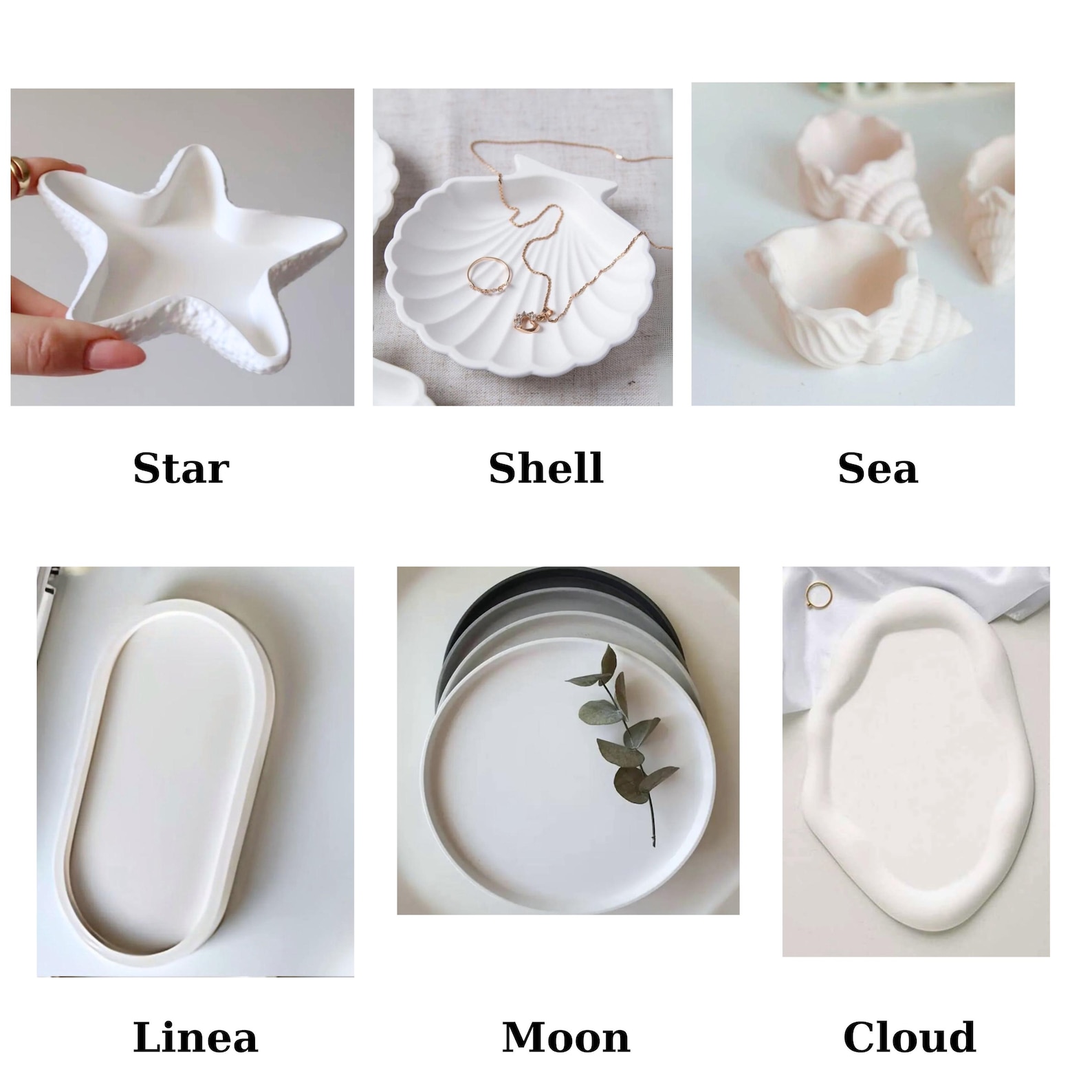 Concrete Sea Shell Trinket, Conch Storage Box, Jewelry Box, Sea Shell ...