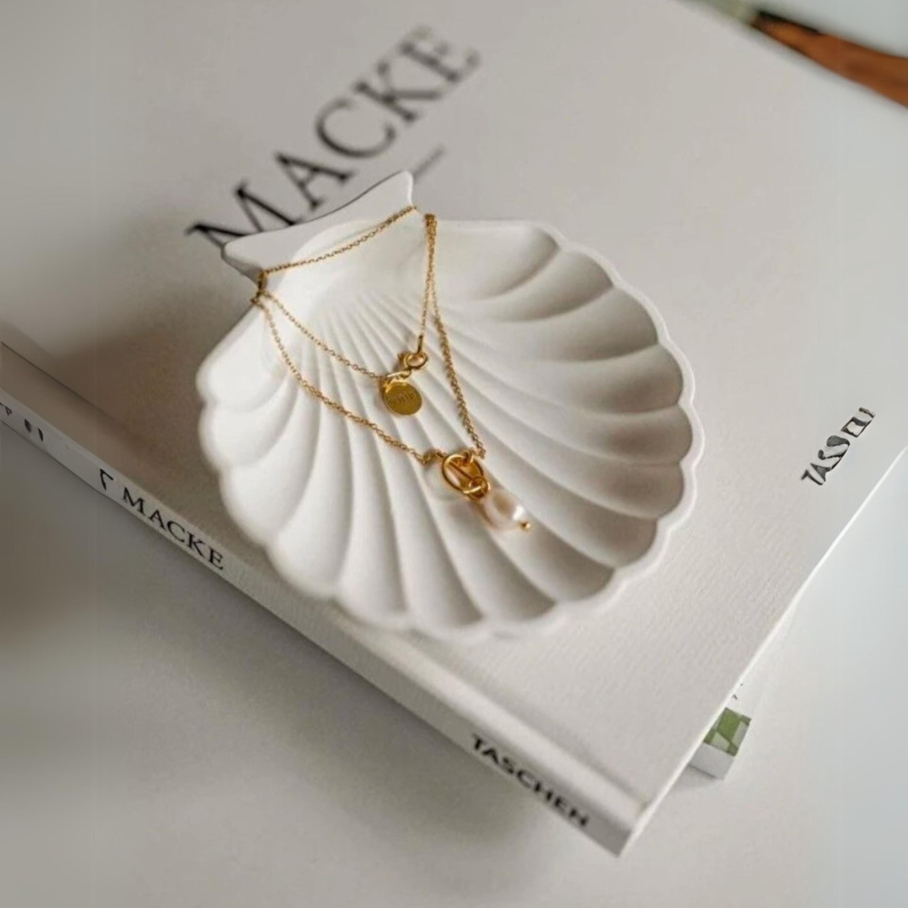 Concrete Sea Shell Trinket, Conch Storage Box, Jewelry Box, Sea Shell ...
