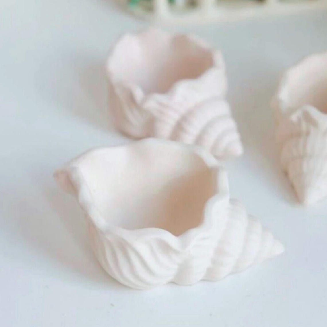 Concrete Sea Shell Trinket, Conch Storage Box, Jewelry Box, Sea Shell ...