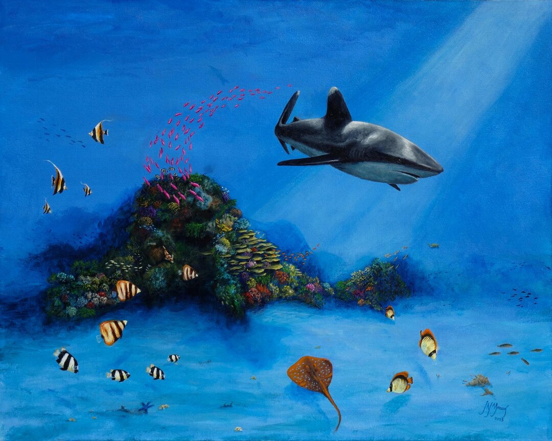 Reef Shark | Wall Art Print - Etsy