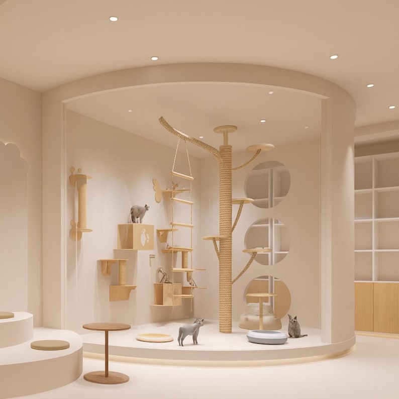 Pet Store 3D Model | Sketchup Interior Design Templates (digital ...