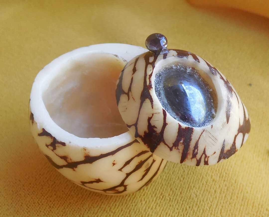 Hematite Carved Tagua Nut Box Cruelty Free Vegetable Ivory Semiprecious ...