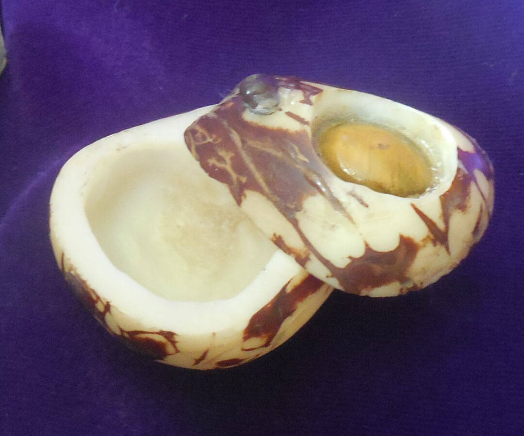 Tigerauge Geschnitzte Tagua Nuss box Medium Size Cruelty Free Vegetable ...