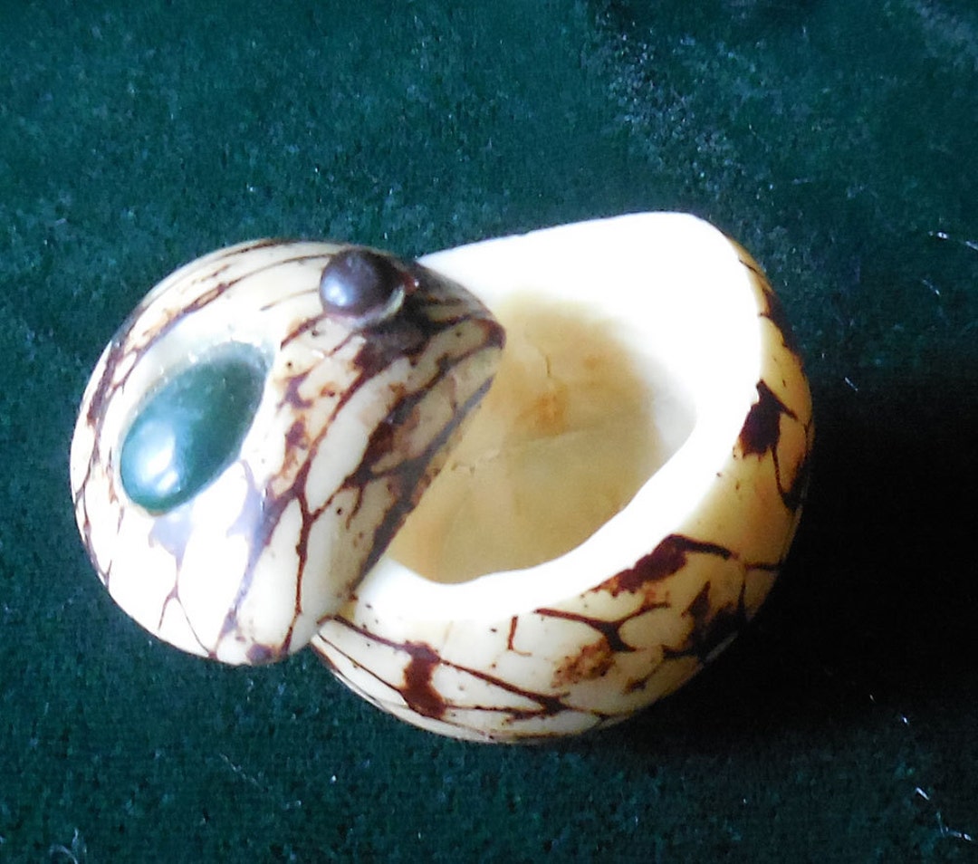Green Jade Carved Tagua Nut Box Medium Size Cruelty Free Vegetable ...