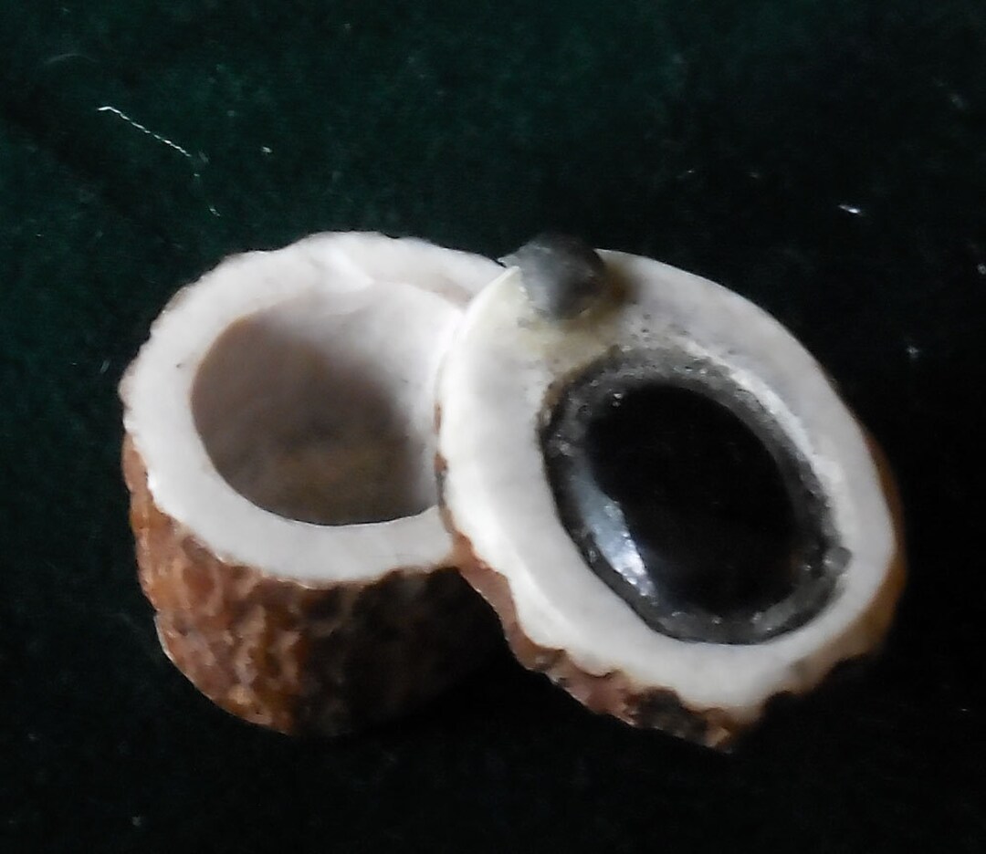 Onyx Carved Cruelty Free Elk Antler Box Semiprecious Stone Gemstone ...