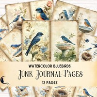 Robin's Egg Blue Digital Paper Pack, Scrapbook Papers, 24 Jpg Files 12 ...