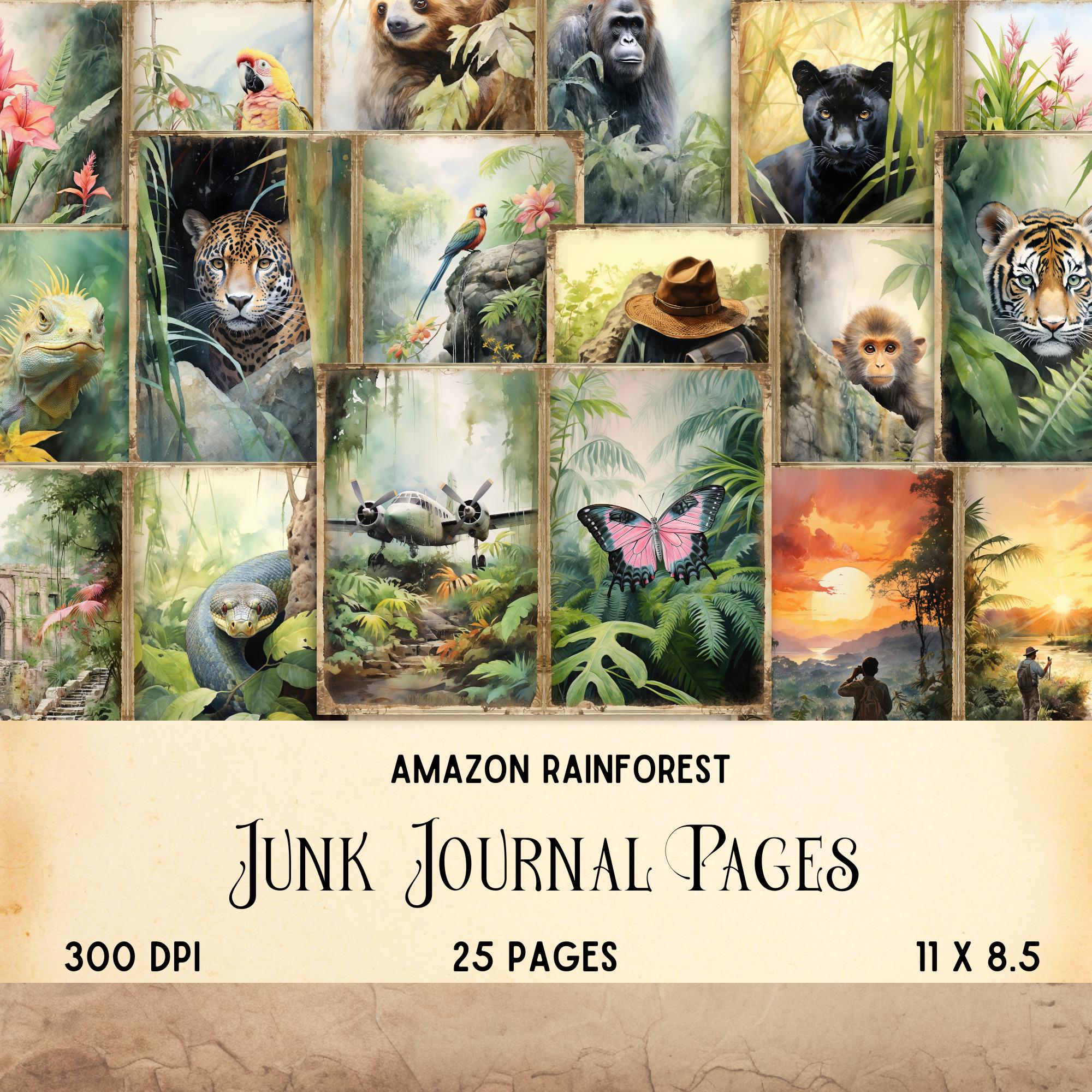 Amazon Rainforest Junk Journal Pages, Vintage Jungle Ephemera ...