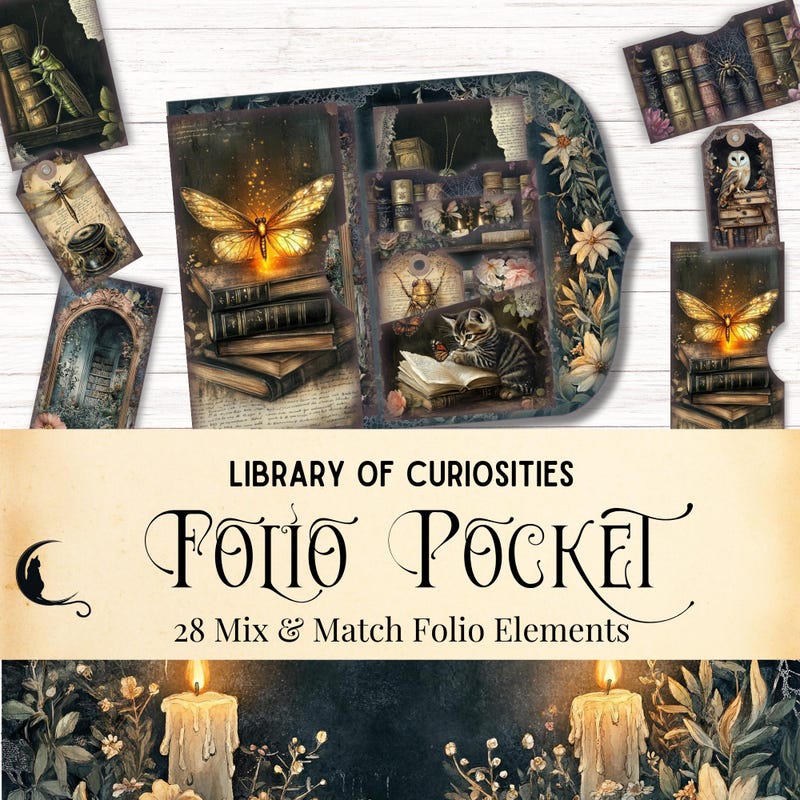 Library of Curiosities - Etsy