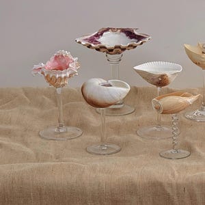 Handmade Collectible Shell Wine Glasses, Beach Anniversary Wedding Wine ...