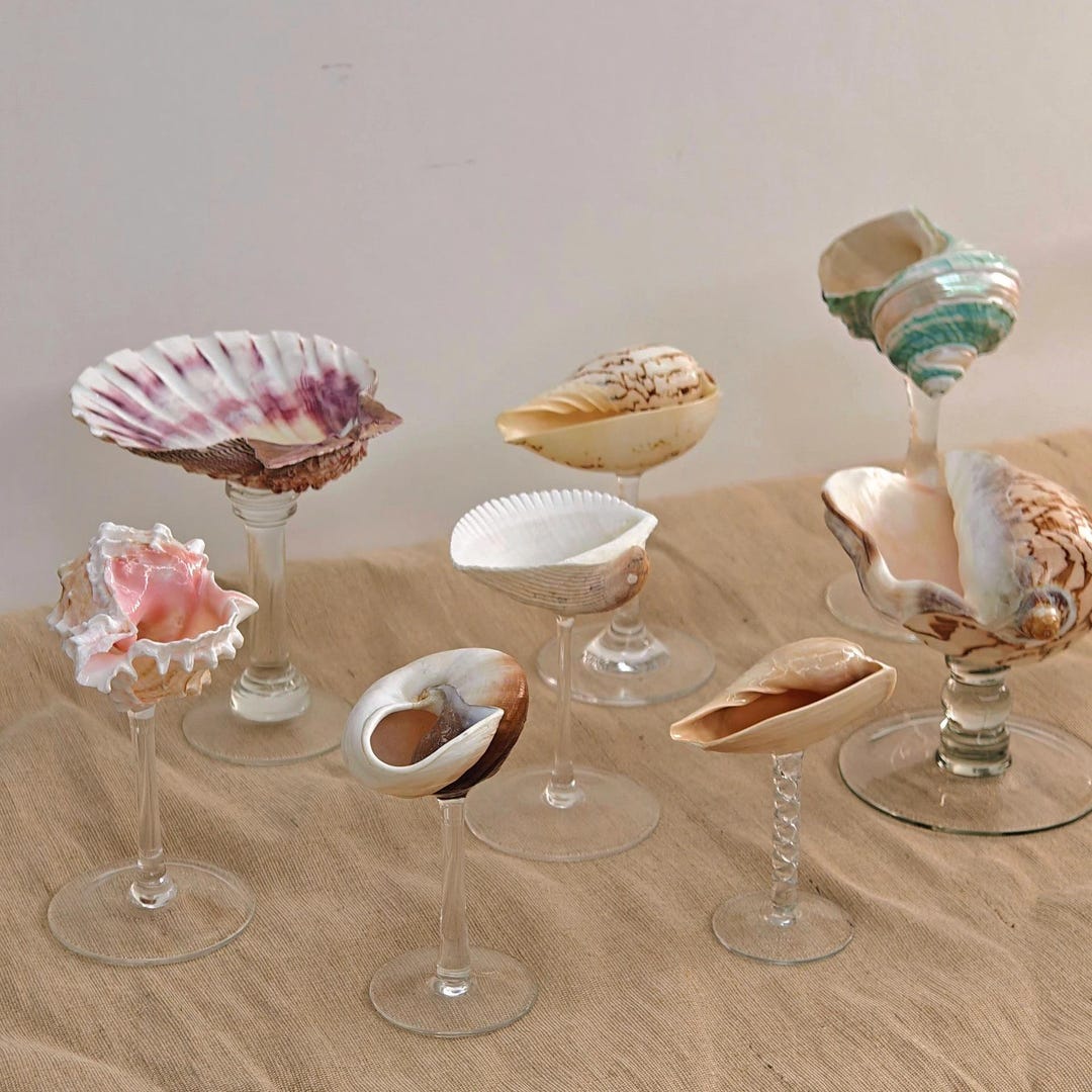 Handmade Collectible Shell Wine Glasses, Beach Anniversary Wedding Wine ...