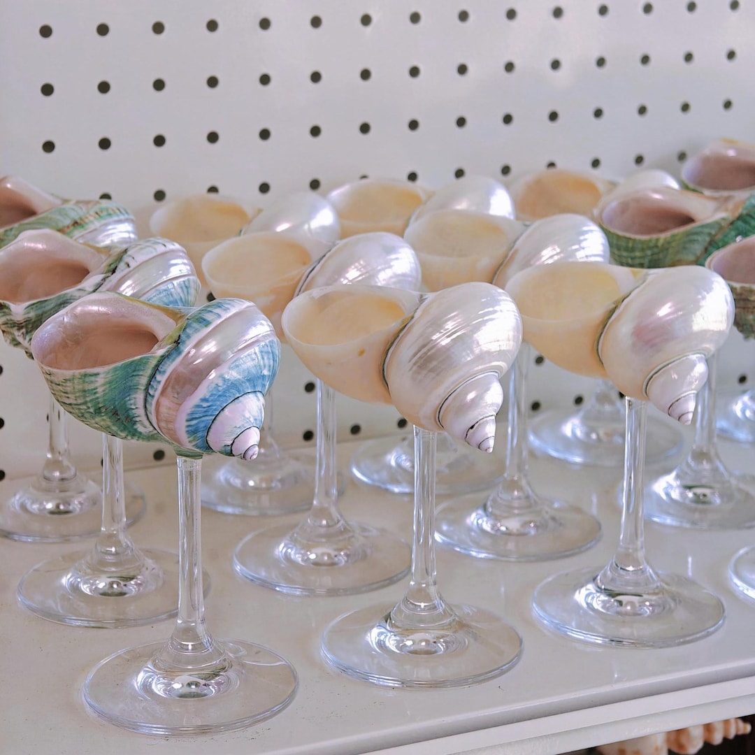 Customized Handmade Seashell Wine Glasses, Seashell Glasses, Goblet ...