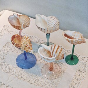 Customize Shell Wine Glasses, Wedding Seashell Wine Glasses, Bachelor ...