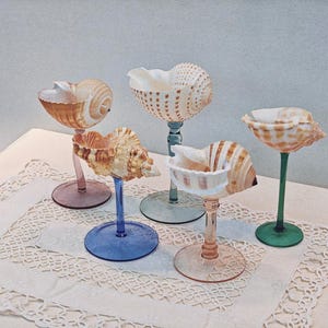 Customize Shell Wine Glasses, Wedding Seashell Wine Glasses, Bachelor ...