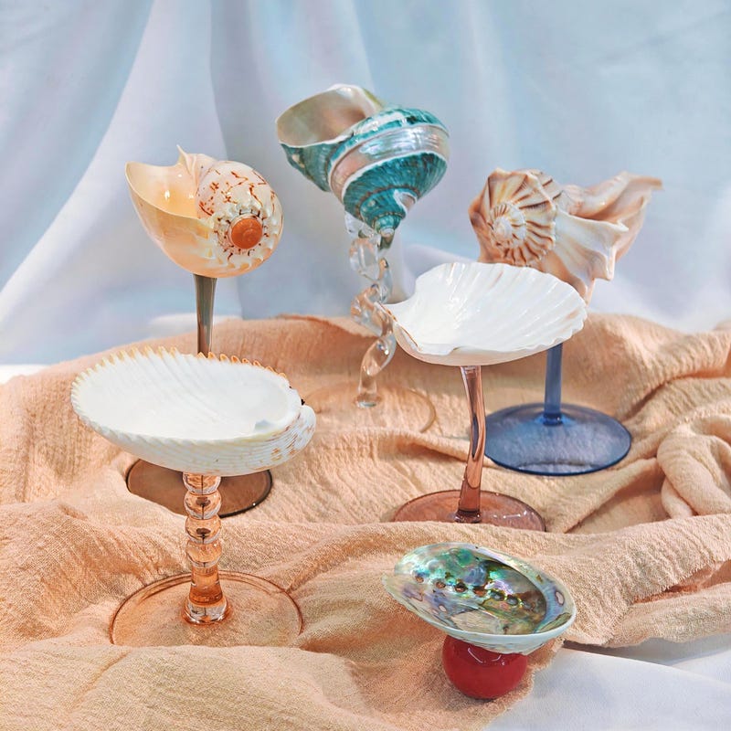 Conch Shell Glasses - Etsy