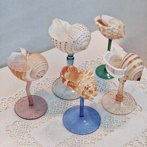 Customize Shell Wine Glasses, Wedding Seashell Wine Glasses, Bachelor ...