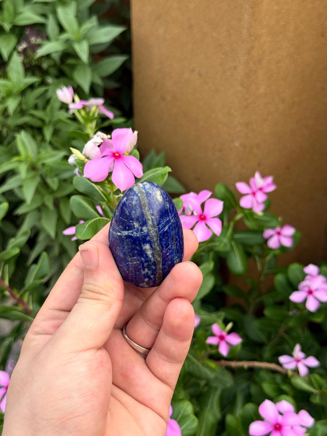 Natural Afghan Lapis Lazuli Palm Stone 86g 58.3 X 38 X 24.2 Mm Origin ...