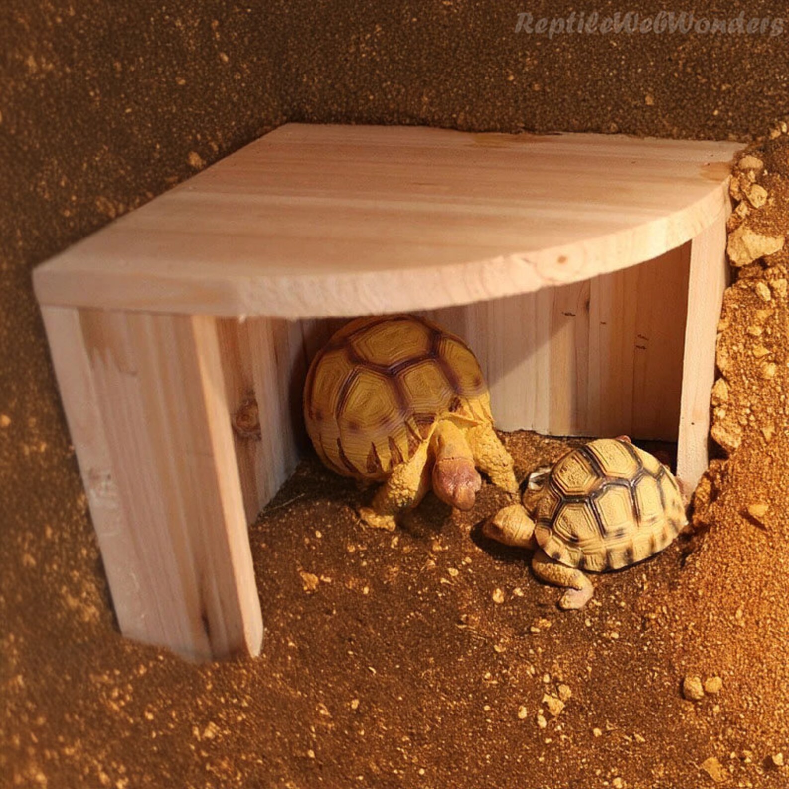 Handcrafted Turtle Reptile Hide Cave Natural Wood Amphibian Habitat ...