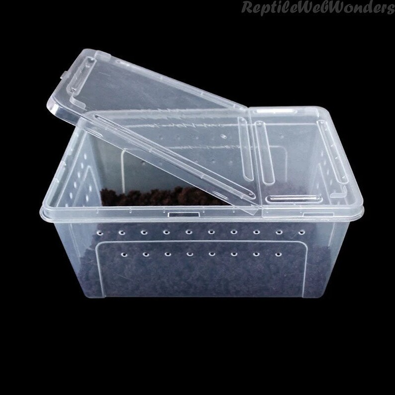 Transparent Plastic Reptile Breeding Box Habitat for Lizards,snakes ...