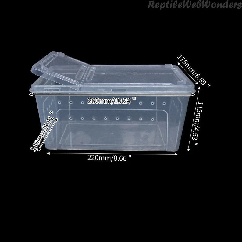 Transparent Plastic Reptile Breeding Box Habitat for Lizards,snakes ...