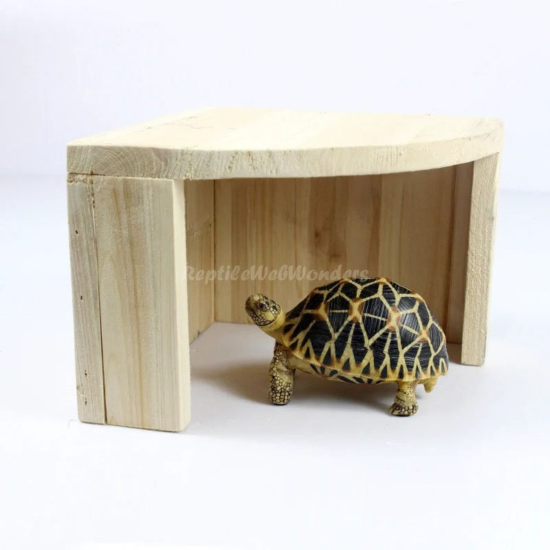 Handcrafted Turtle Reptile Hide Cave Natural Wood Amphibian Habitat ...