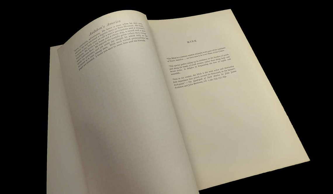 Male & Female MINK Putorius Vison 1940 John James Audubon - Etsy