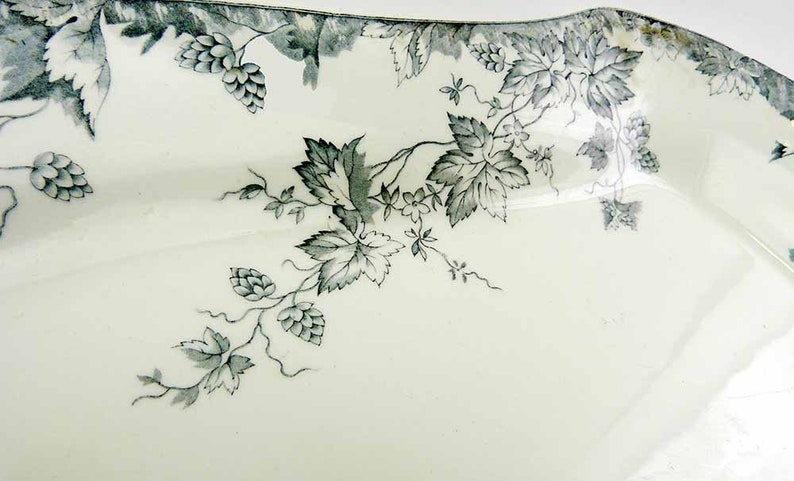 Johnson Brothers England Semi Porcelain HOP Pattern 1880 1909 - Etsy