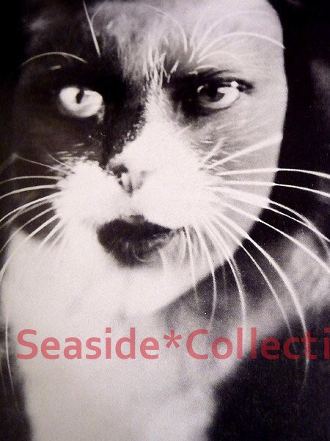 PHOTOMONTAGES 1987 SC Book Photo Poche Number 31 First Edition 1st ...