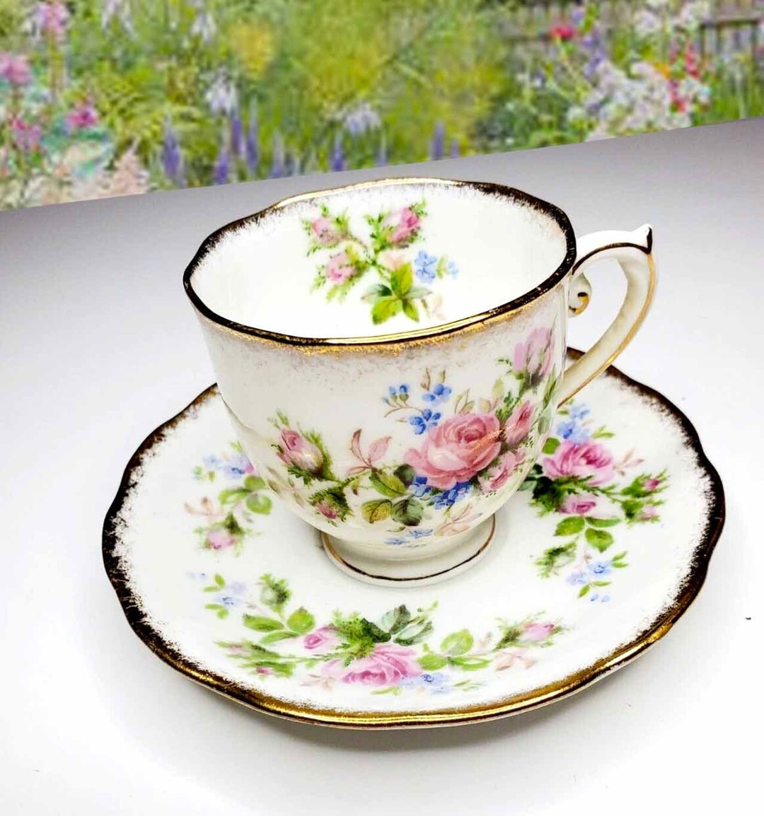 Royal Albert MOSS ROSE Pattern Tea Cup & Saucer Set England Fine Bone ...