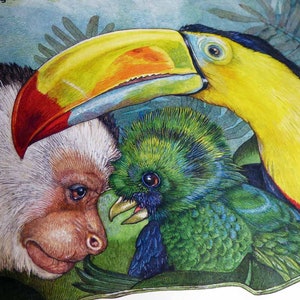 The Umbrella Written & Illustrated by Jan Brett A Rainforest Animal ...