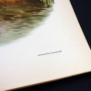 Male & Female MINK Putorius Vison 1940 John James Audubon - Etsy