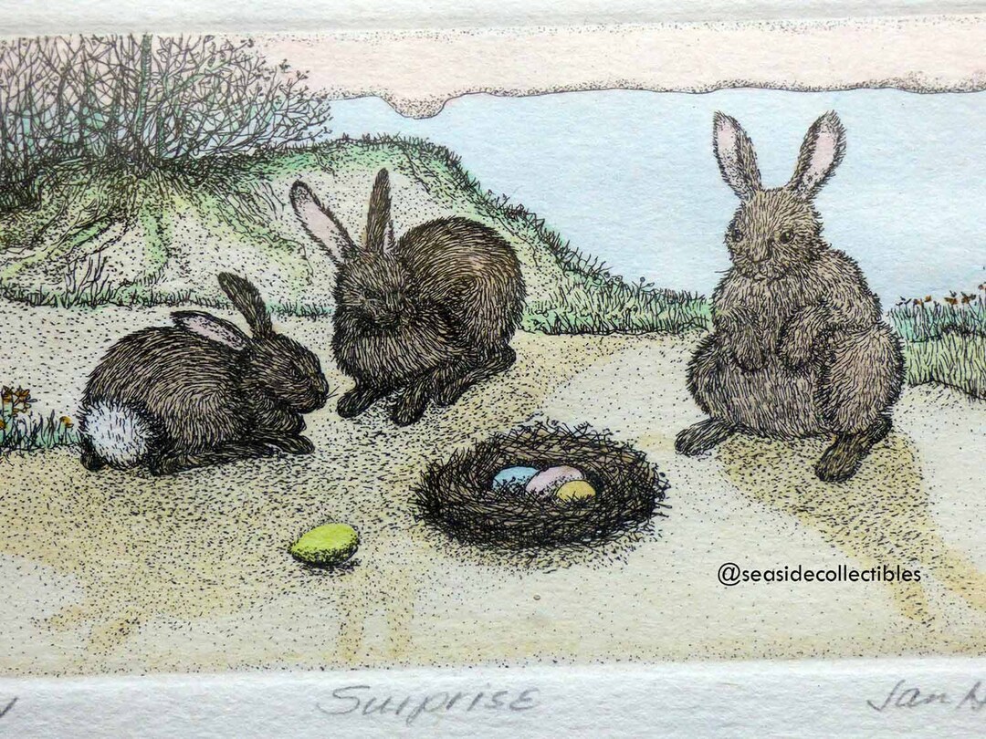 SURPRISE Signed 1980 Etching by Jan Hunt Hand Colored Limited Numbered ...