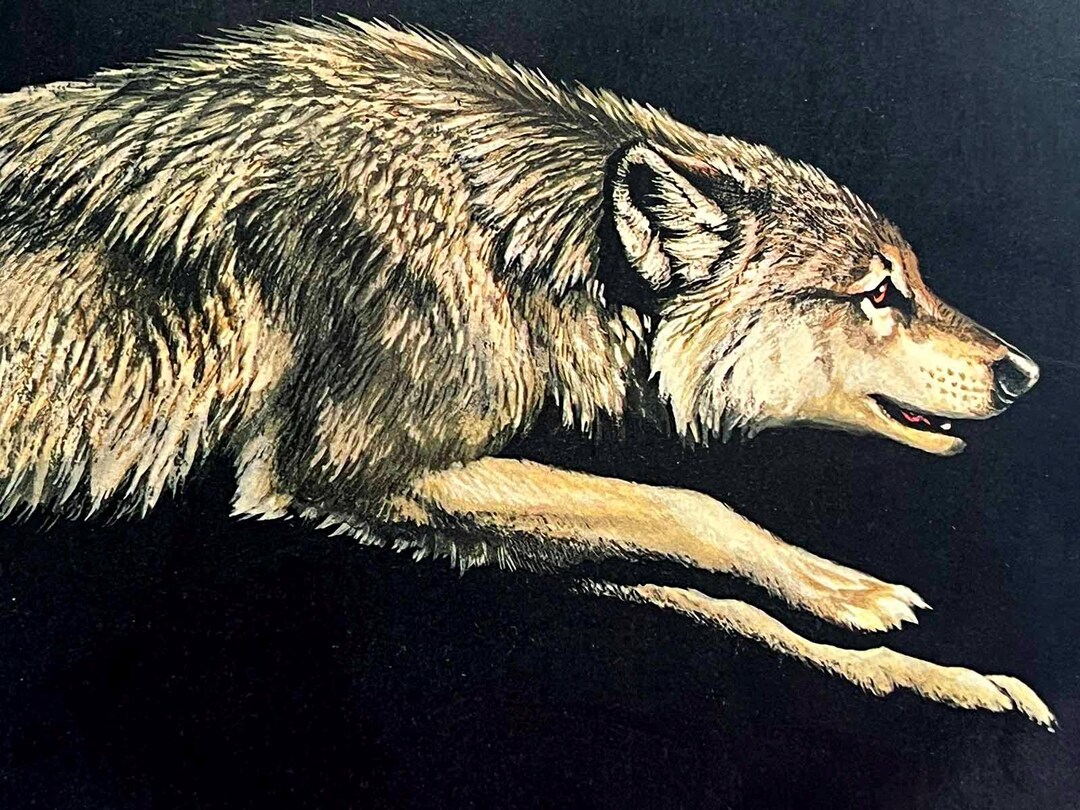 1974 Endangered Wildlife by Ned Smith National Wildlife Federation ...