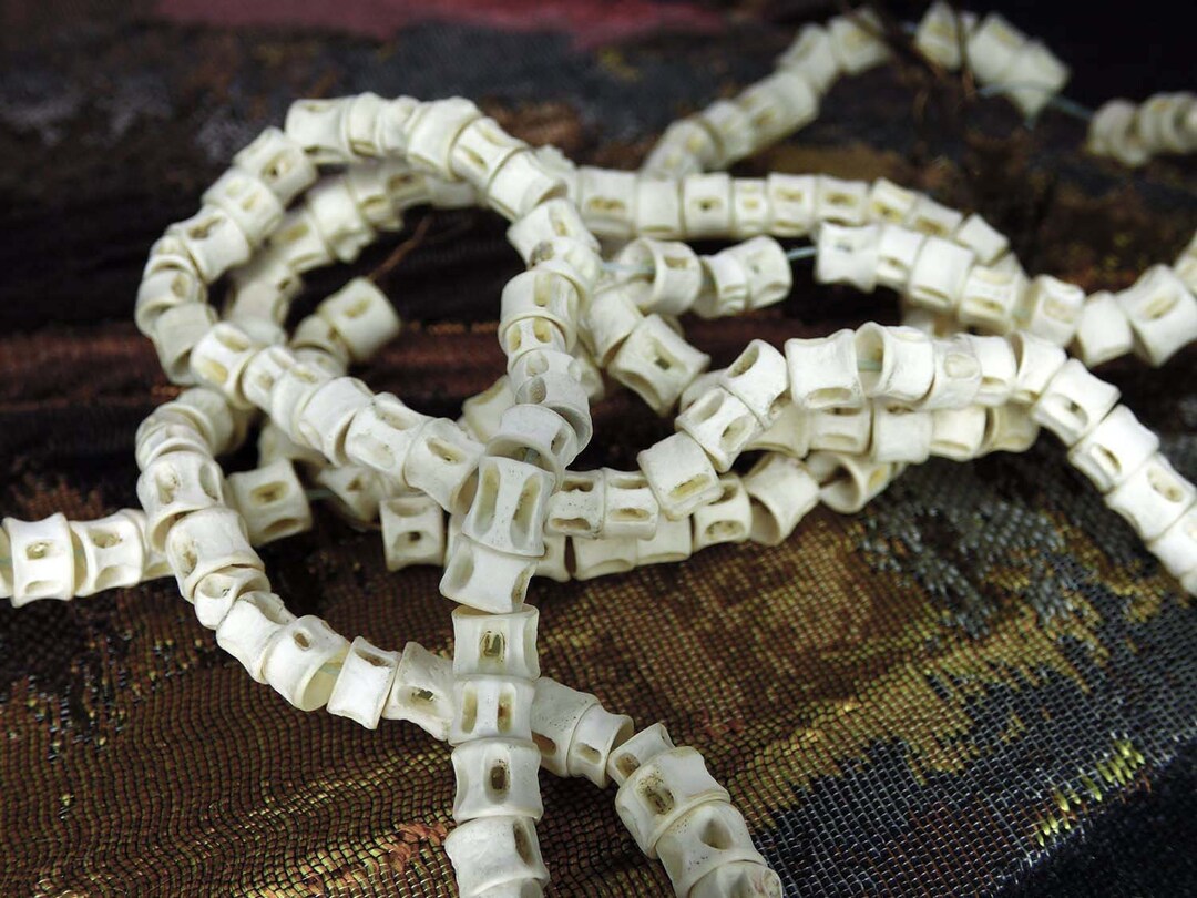 West African Fish Bone Beads Ideal for Assemblage Accents Natural ...